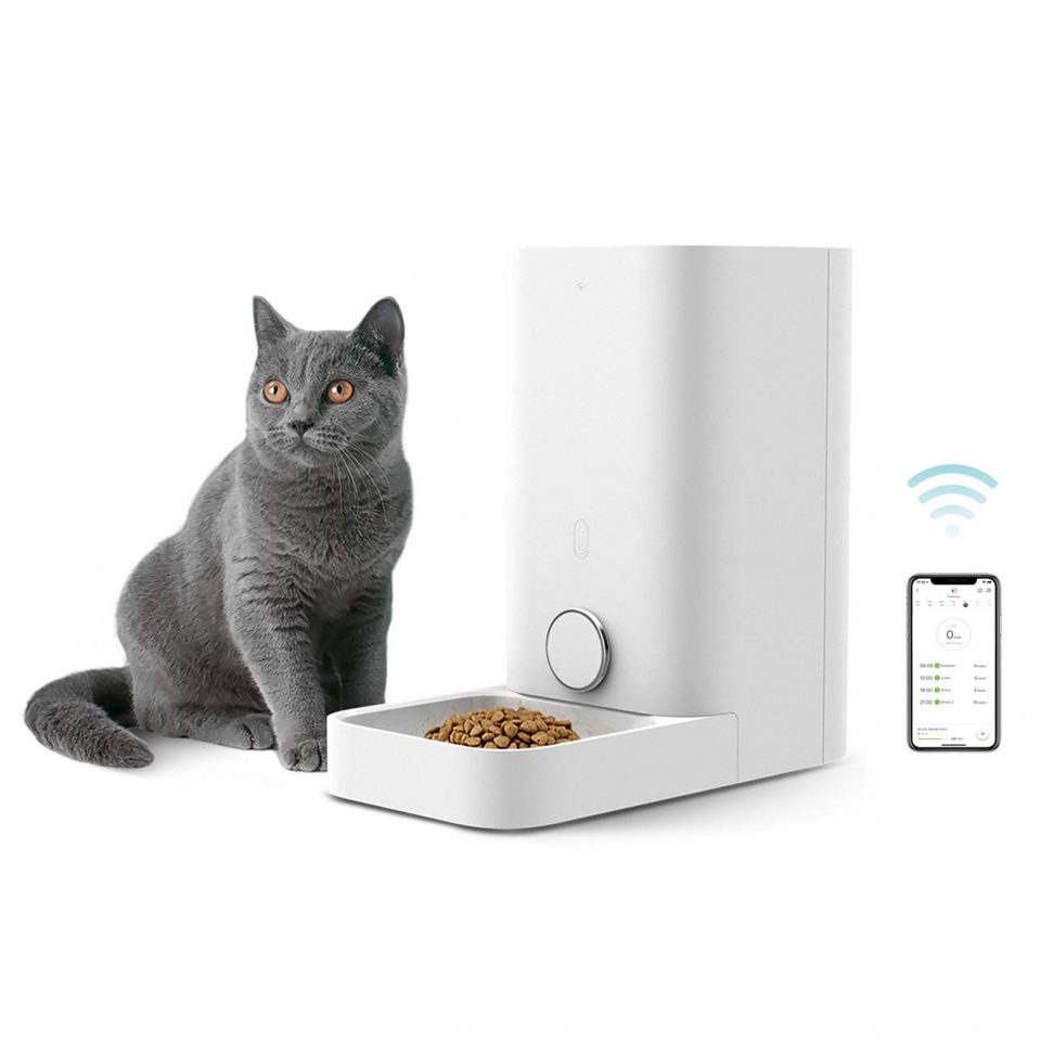 Best Automatic Cat Feeders Of 2020 Reviews And Buying Guide